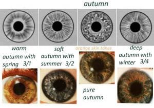 Eye Patterns Iris: Unlocking Eye Uniqueness