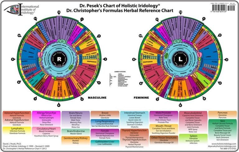 Iridology Pictures And Meanings: A Guide To Iris Patterns, Pictures ...
