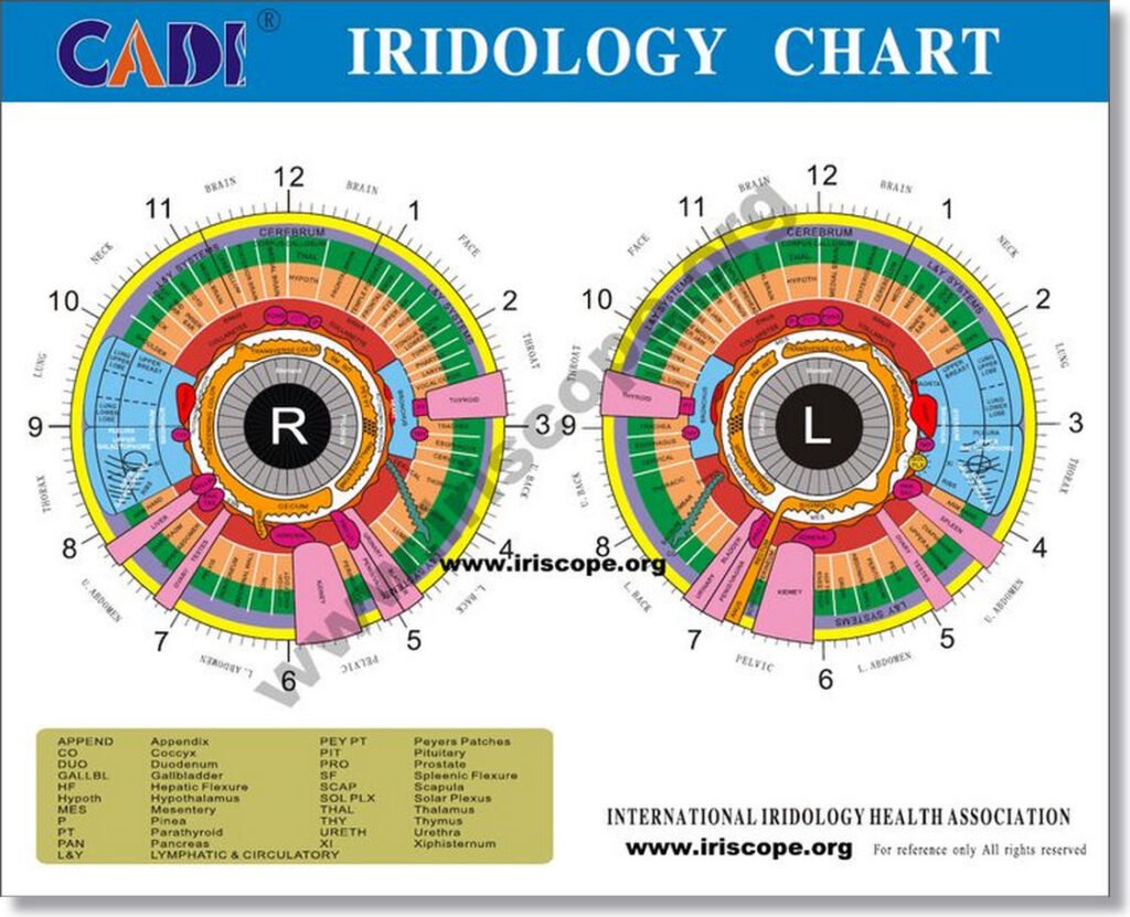 Iridology Review: How To Read Your Eyes For Health? – MAIKONG Iridology ...