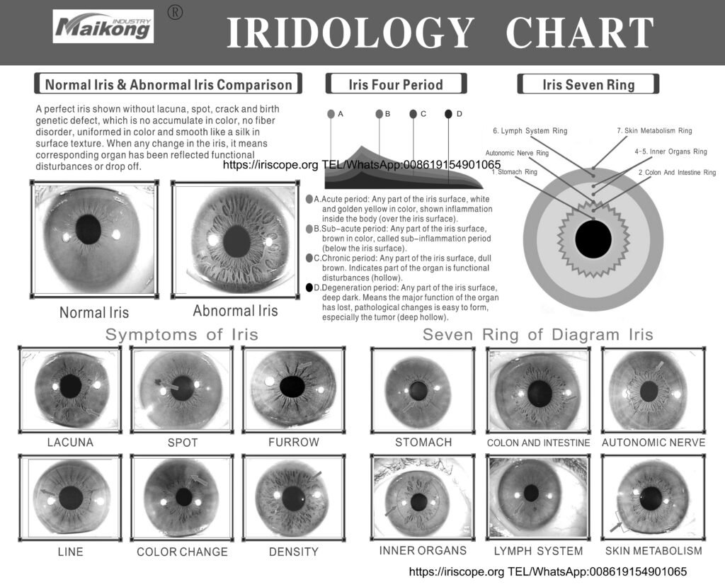 Iris Texture And What It Reveals About Health | MAIKONG