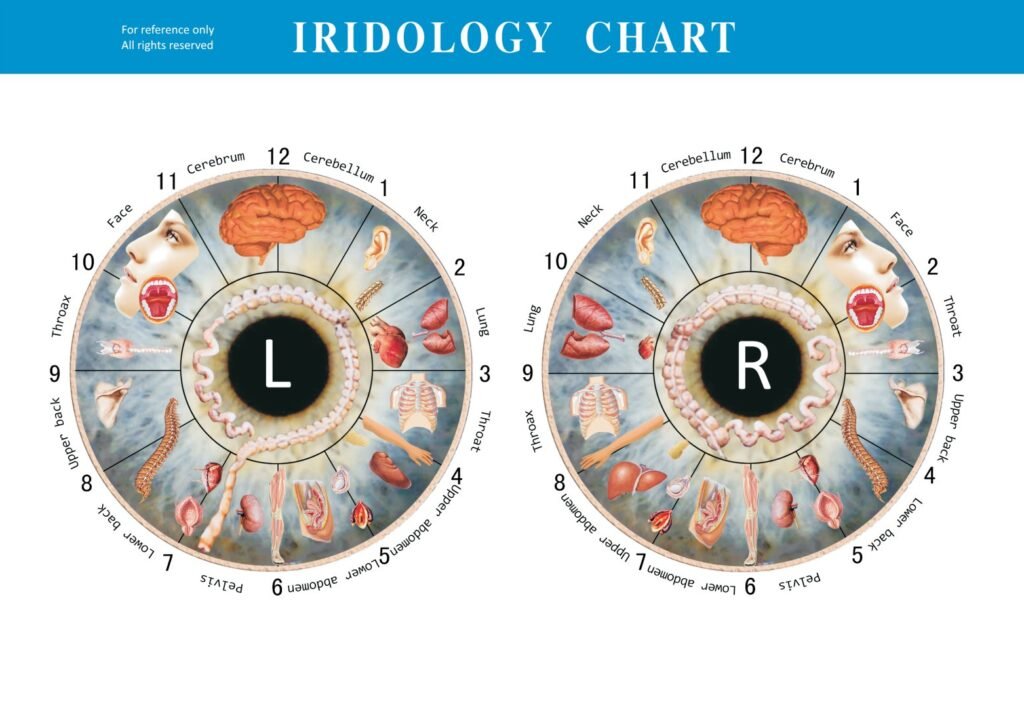 What Is An Iridologist? A Guide To Iris Diagnosis Practices